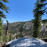 Brockway Summit to Mount Baldy Loop, California - 171 Reviews, Map ...