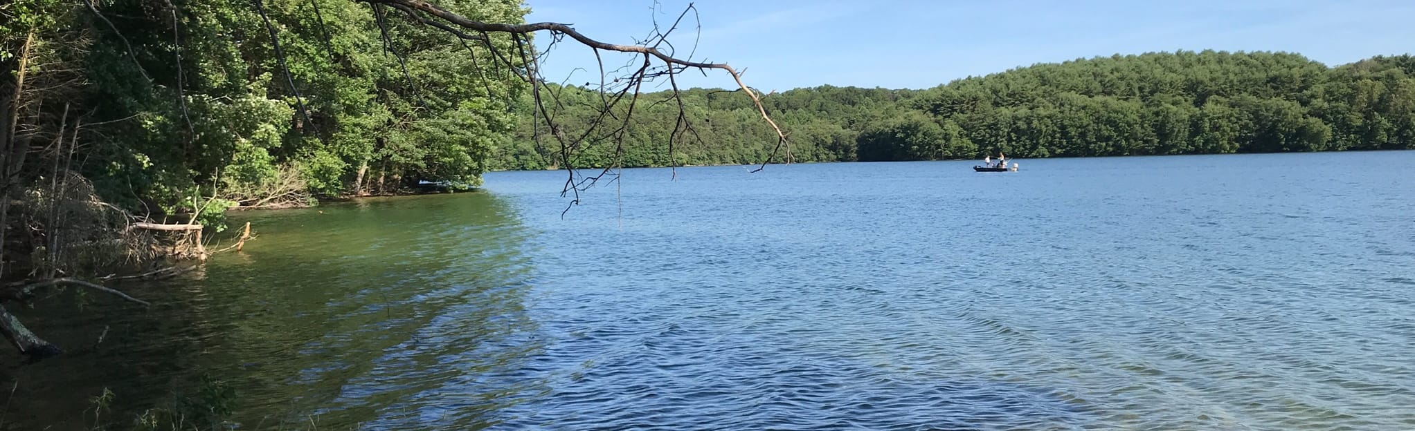 Prettyboy Reservoir Fire Road, Maryland - 392 Reviews, Map | AllTrails