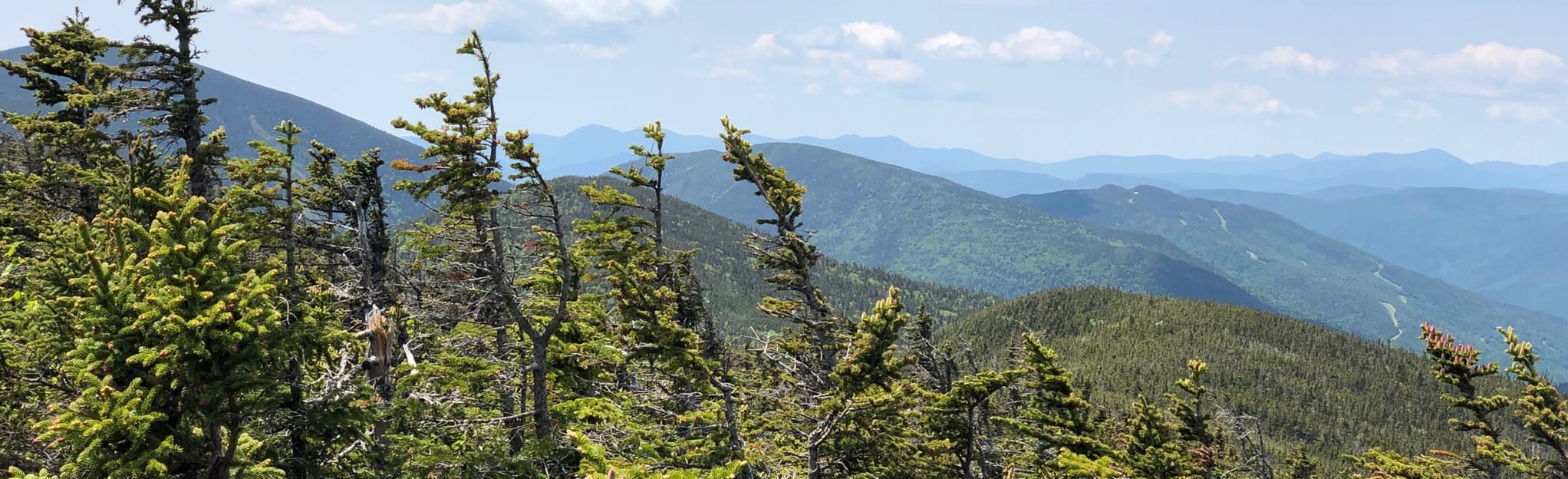 Carter Ridge and Wildcat Loop: 93 Reviews, Map - New Hampshire | AllTrails