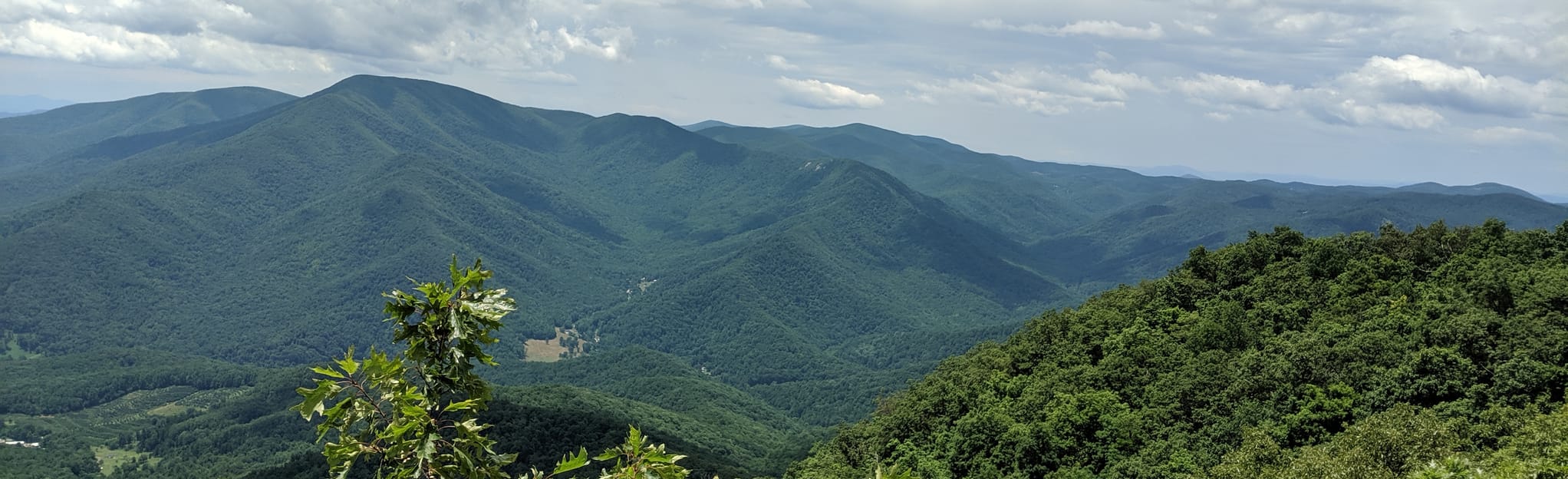 Three Ridges Trail: 795 Reviews, Map - Virginia | AllTrails
