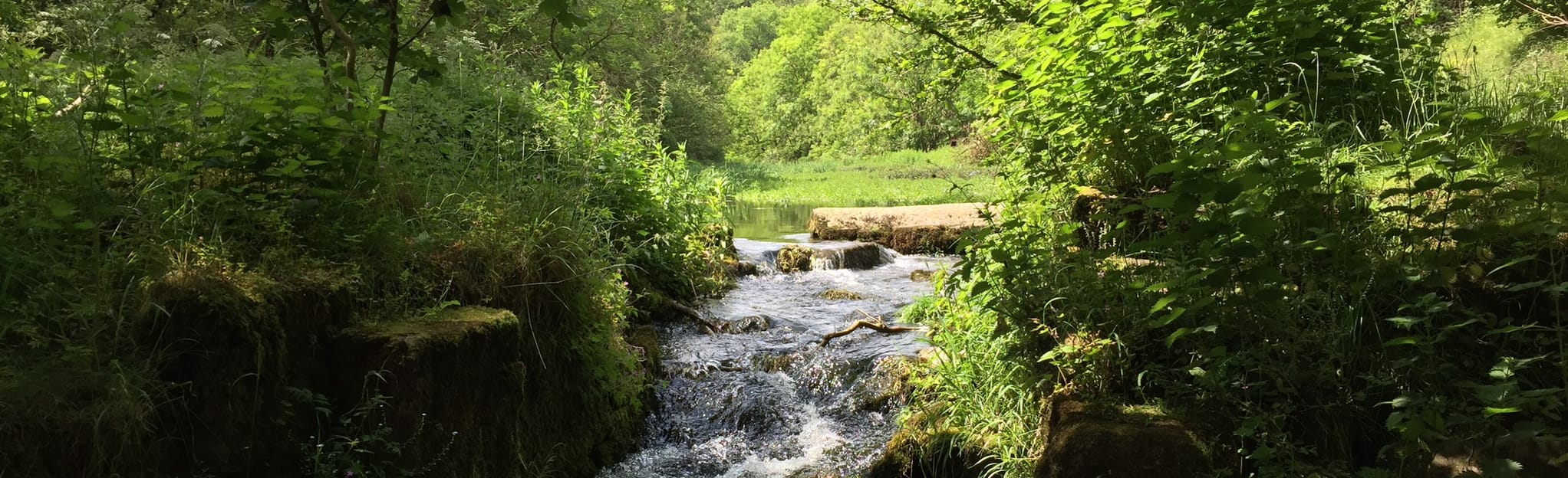 Over Haddon, Lathkill Dale and Limestone Circular - Derbyshire, England ...