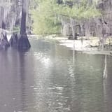 Lake Bistineau, Louisiana - 94 Reviews, Map | AllTrails