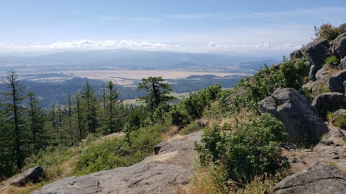 2023 Best 10 Trails and Hikes in Eugene | AllTrails