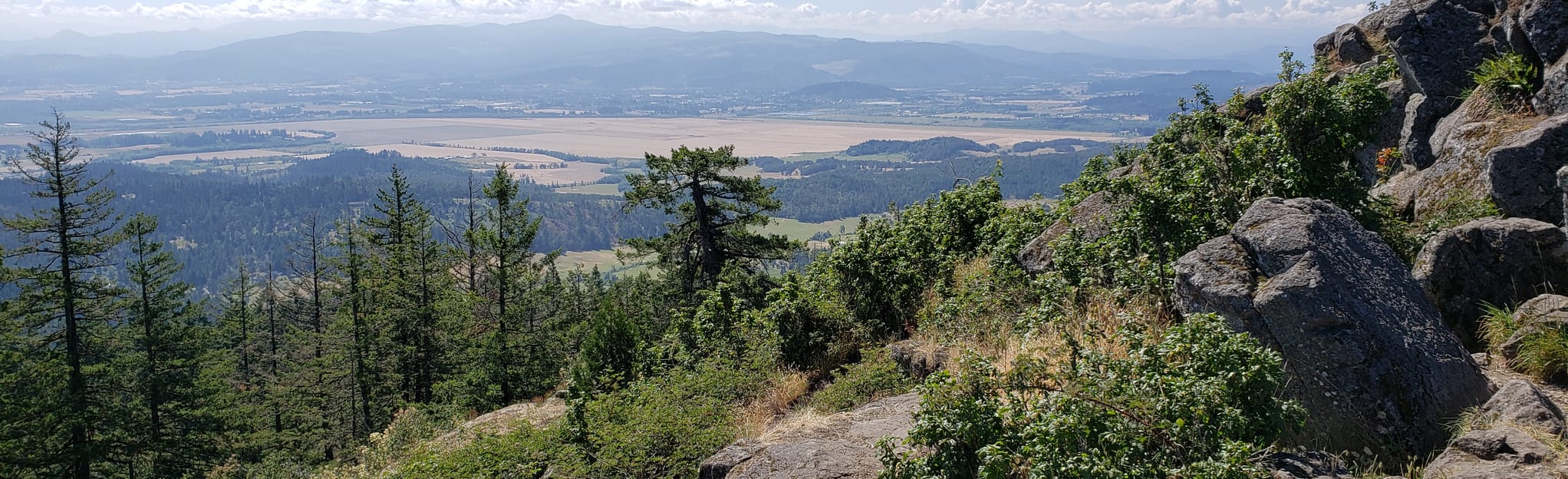 Spencer Butte West Trail: 174 Reviews, Map - Oregon | AllTrails