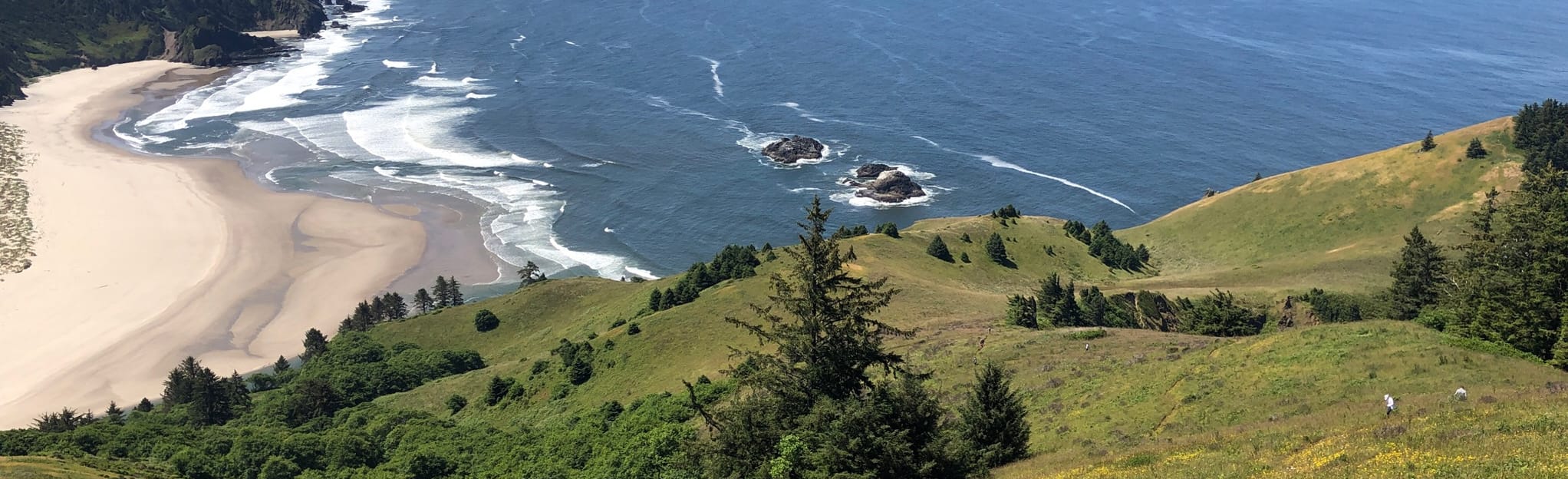 Upper Cascade Head Trail [CLOSED], Oregon - 118 Reviews, Map | AllTrails
