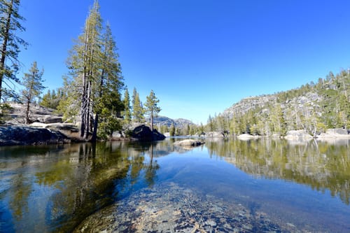 2023 Best Wild Flowers Trails in Mi Wuk Village | AllTrails