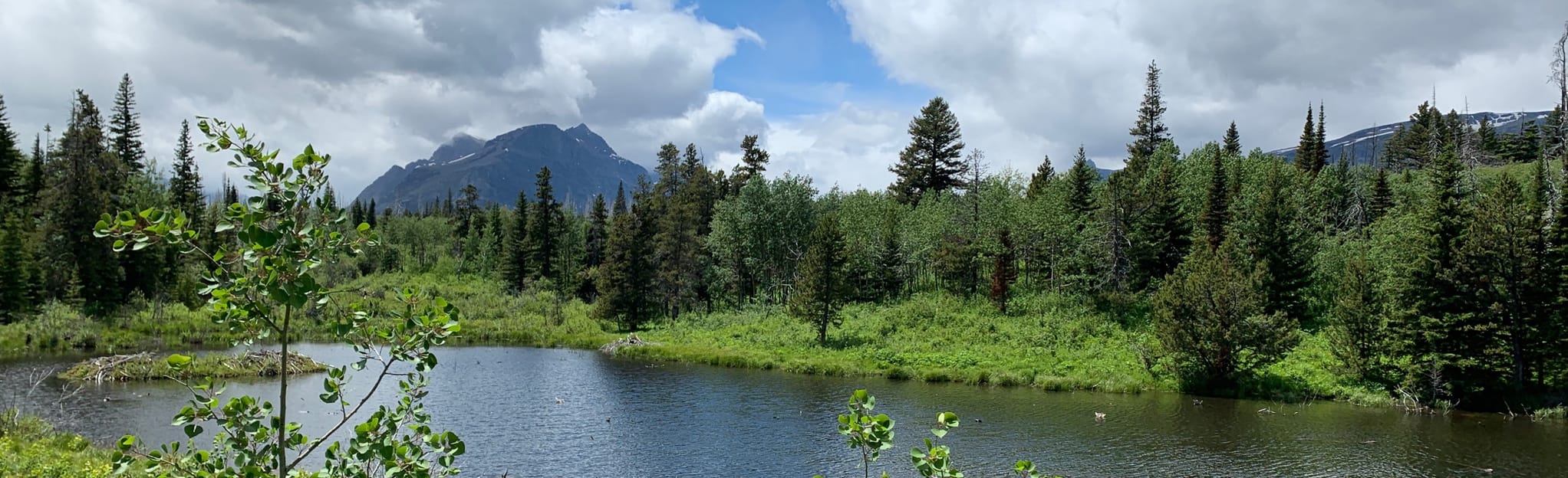 Beaver Pond Loop, Montana - 443 Reviews, Map | AllTrails