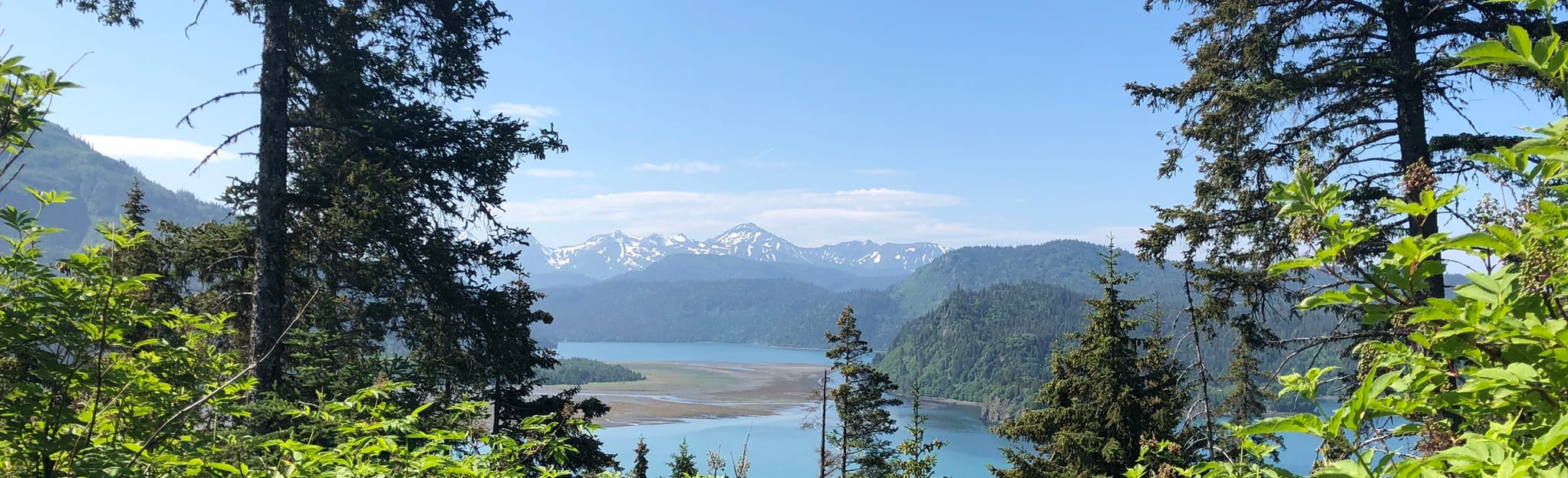 Alpine Ridge Trail: 9 Reviews, Map - Alaska | AllTrails