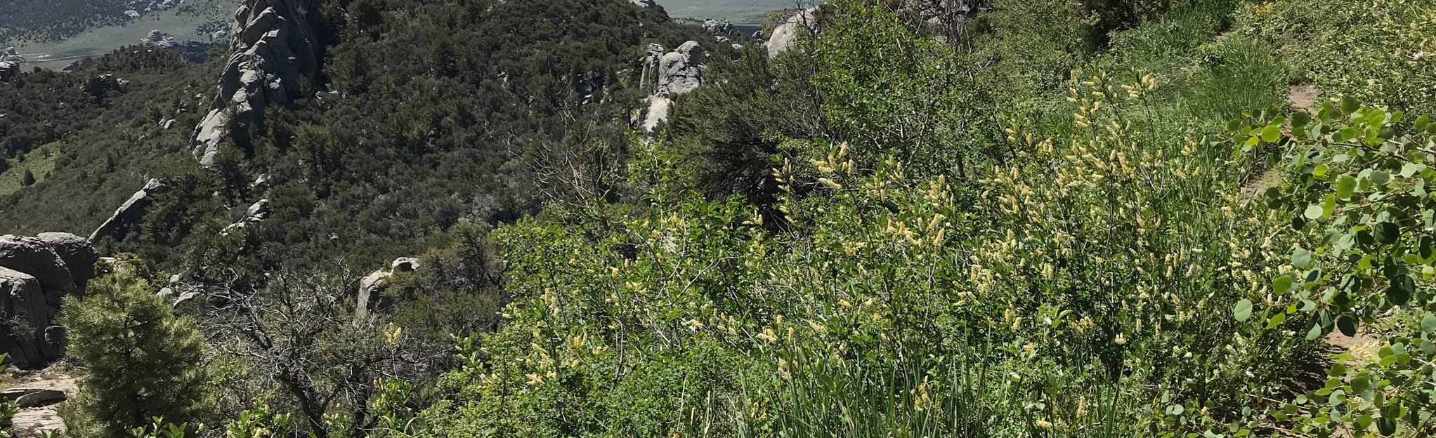 Graham Peak (from Parking Lot Rock): 19 Reviews, Map - Idaho | AllTrails