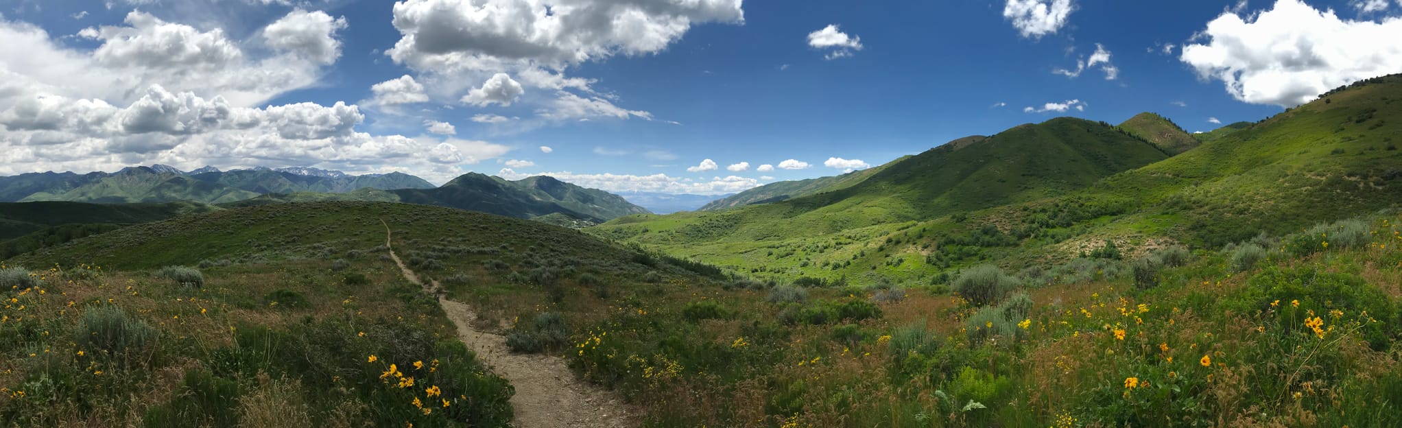 Emigration Canyon Miners Trail: 594 Reviews, Map - Utah | AllTrails