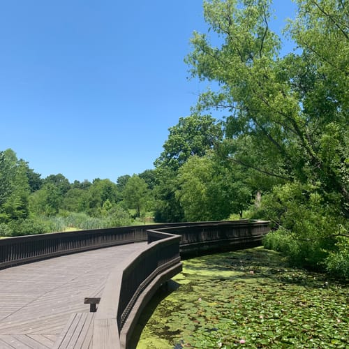 Best Hikes and Trails in Forest Park | AllTrails