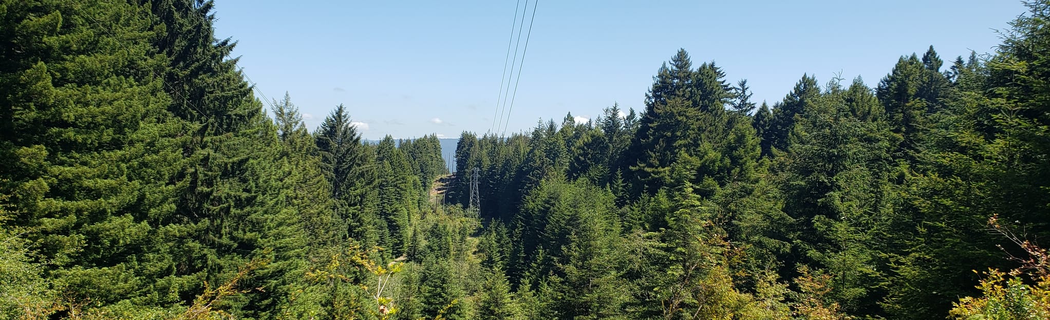 California Trail, Community Forest Loop Road, and Ridge Road Loop | Map ...