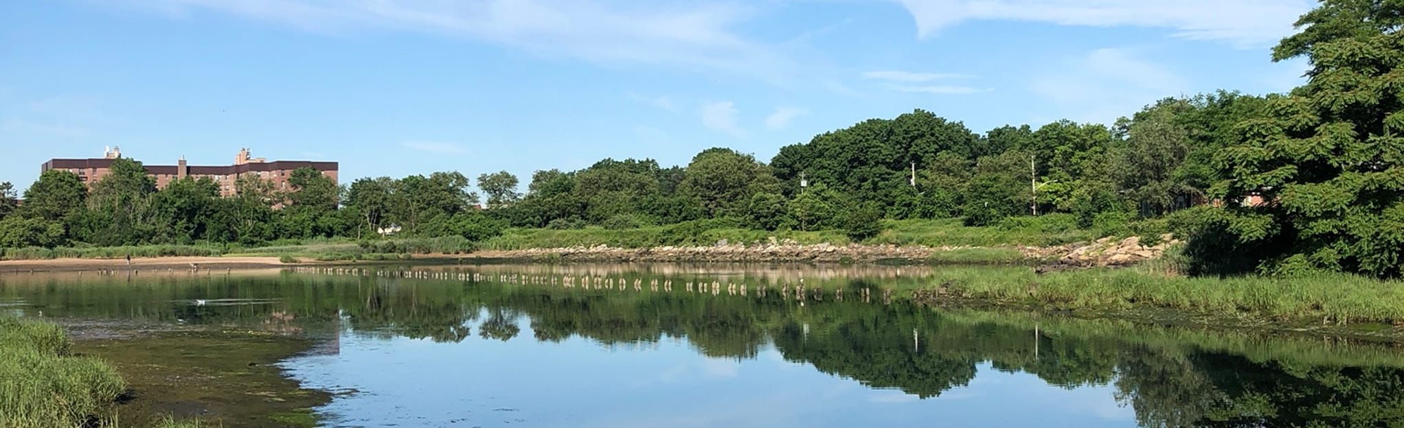 Salt Marsh Nature Trail, New York - 101 Reviews, Map | AllTrails