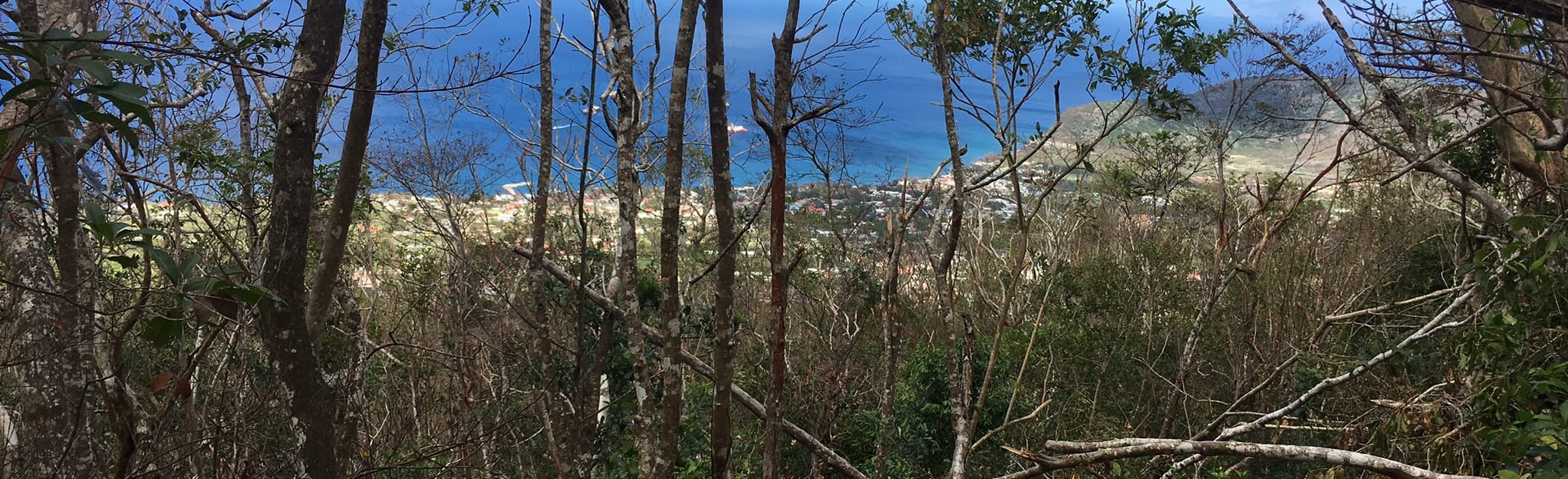 Quill Trail: 36 Reviews, Map - Oranjestad, Sint Eustatius | AllTrails