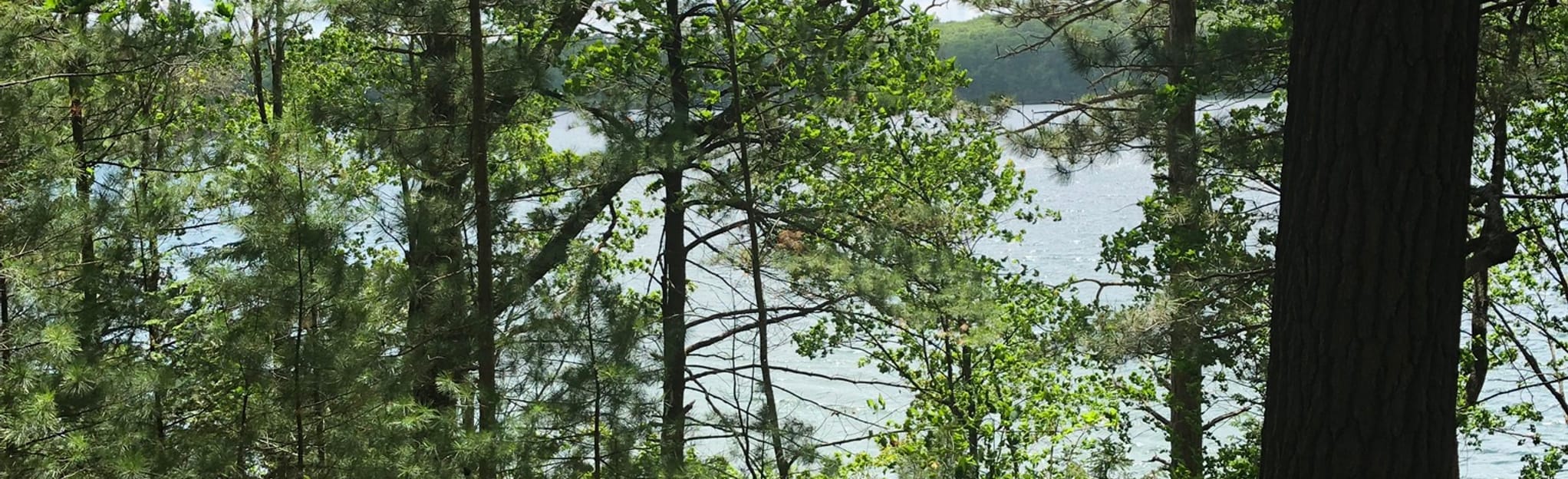 Escanaba Lake Loop: 128 Reviews, Map - Wisconsin | AllTrails