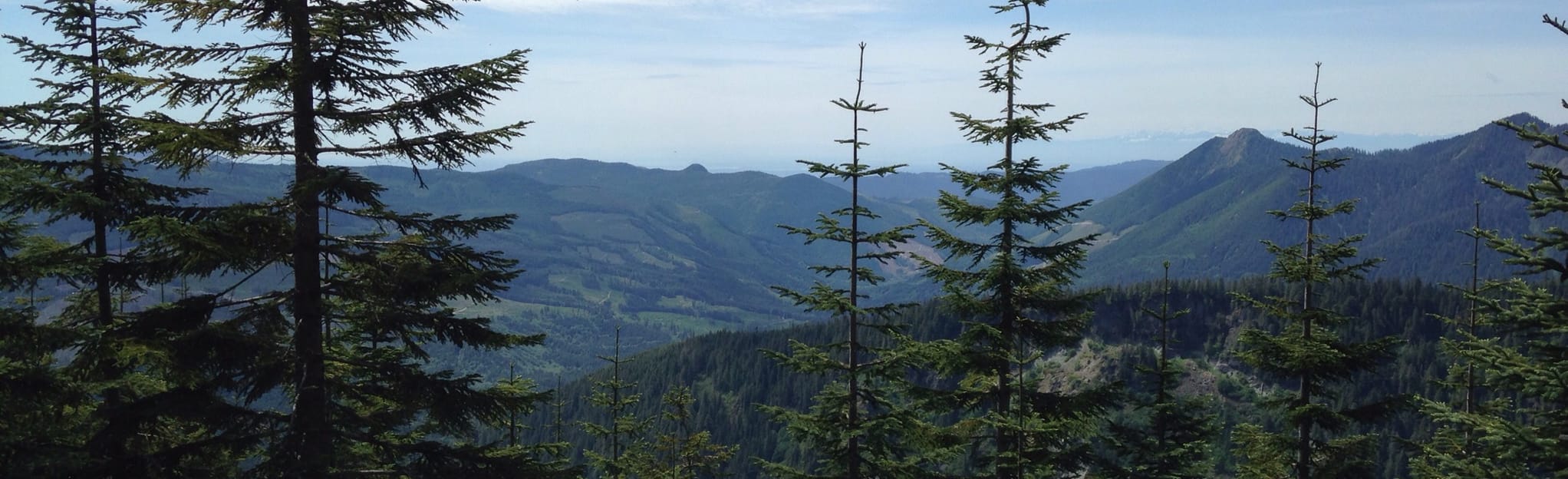 Finney Creek and Iron Mountain OHV Trail - Washington | AllTrails