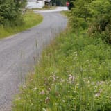 Knox and Kane Rail Trail, Pennsylvania - 11 Reviews, Map | AllTrails