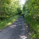 Knox and Kane Rail Trail, Pennsylvania - 11 Reviews, Map | AllTrails