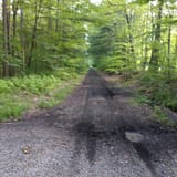 Knox and Kane Rail Trail, Pennsylvania - 11 Reviews, Map | AllTrails
