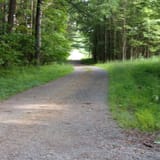 Knox and Kane Rail Trail, Pennsylvania - 11 Reviews, Map | AllTrails