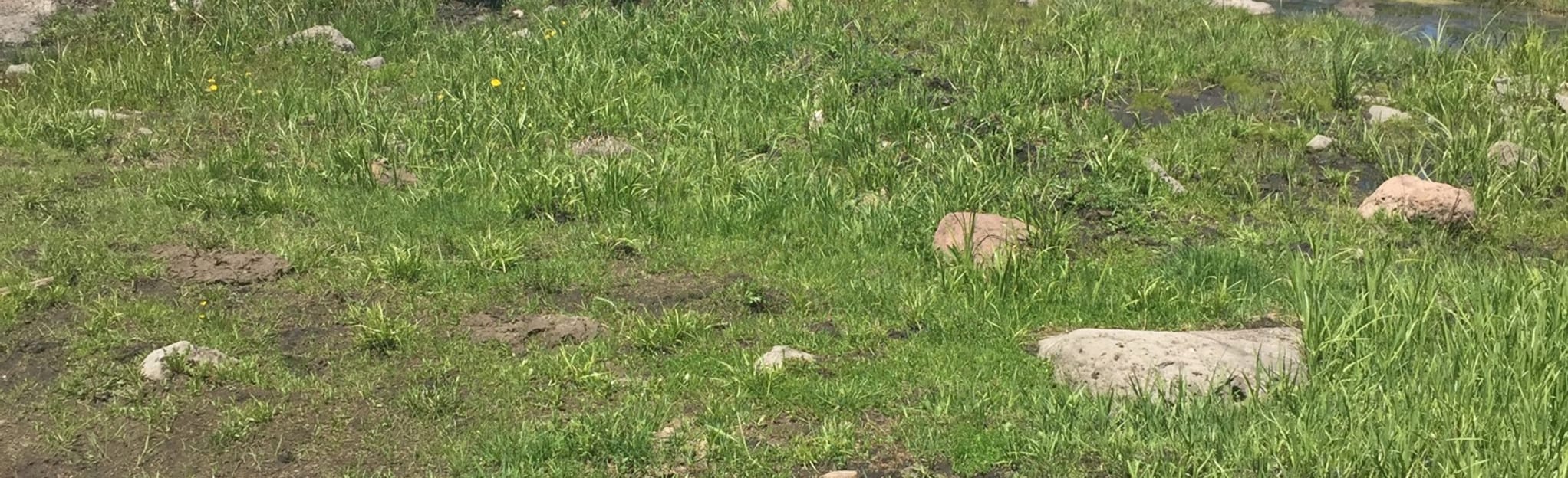 Marcot Park Reservoir via Forest Road 127: 5 Reviews, Map - Colorado ...