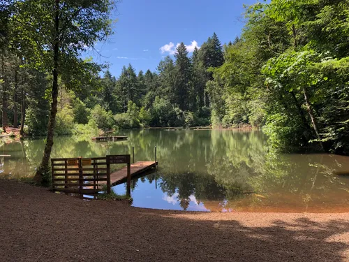 10 Best Dog Friendly Trails in Oregon | AllTrails