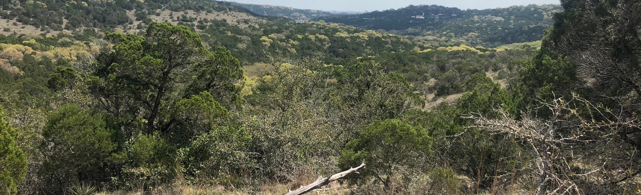 Triknee, Possum, and Laurel Loop, Texas - 147 Reviews, Map | AllTrails
