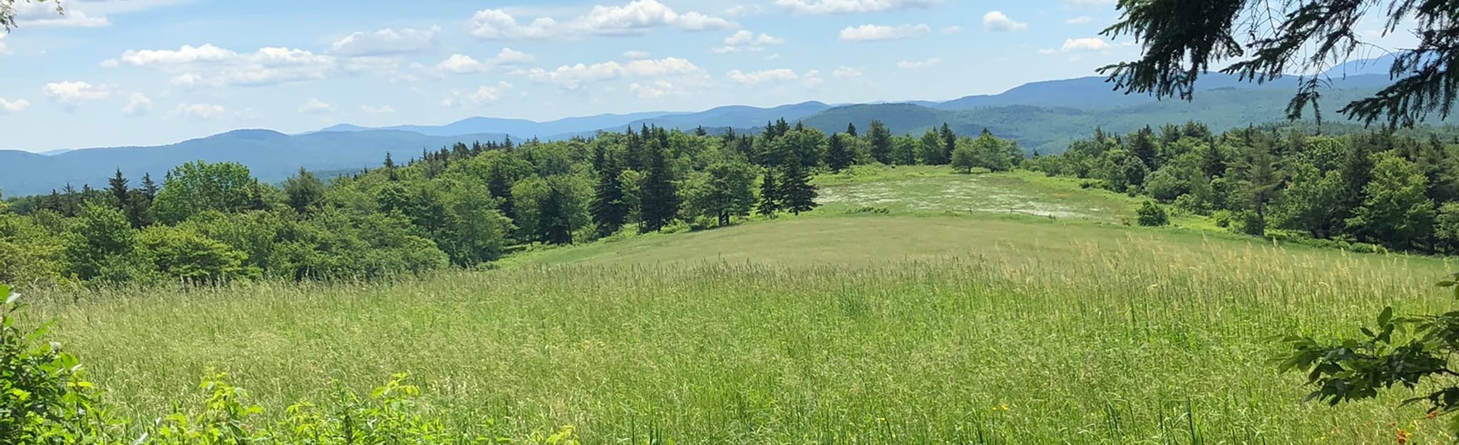 Hubbard Hill and Pitcher Mountain, New Hampshire - 240 Reviews, Map ...