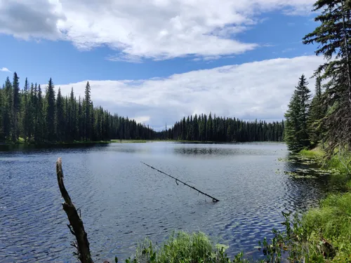 Best Camping Trails in Burns Lake | AllTrails