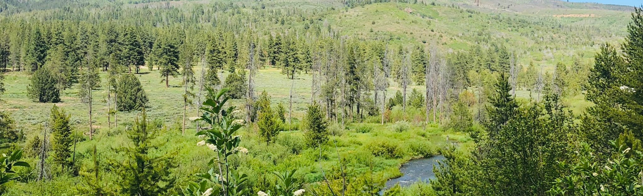 Beaver Creek Trail: 76 Reviews, Map - Utah | AllTrails