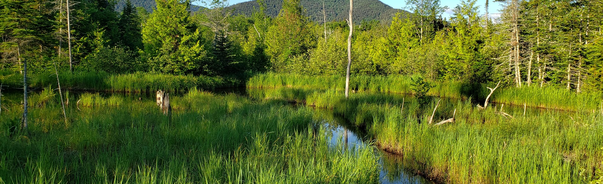 Hurricane Mountain Trail Southern Approach | Map, Guide - New York ...