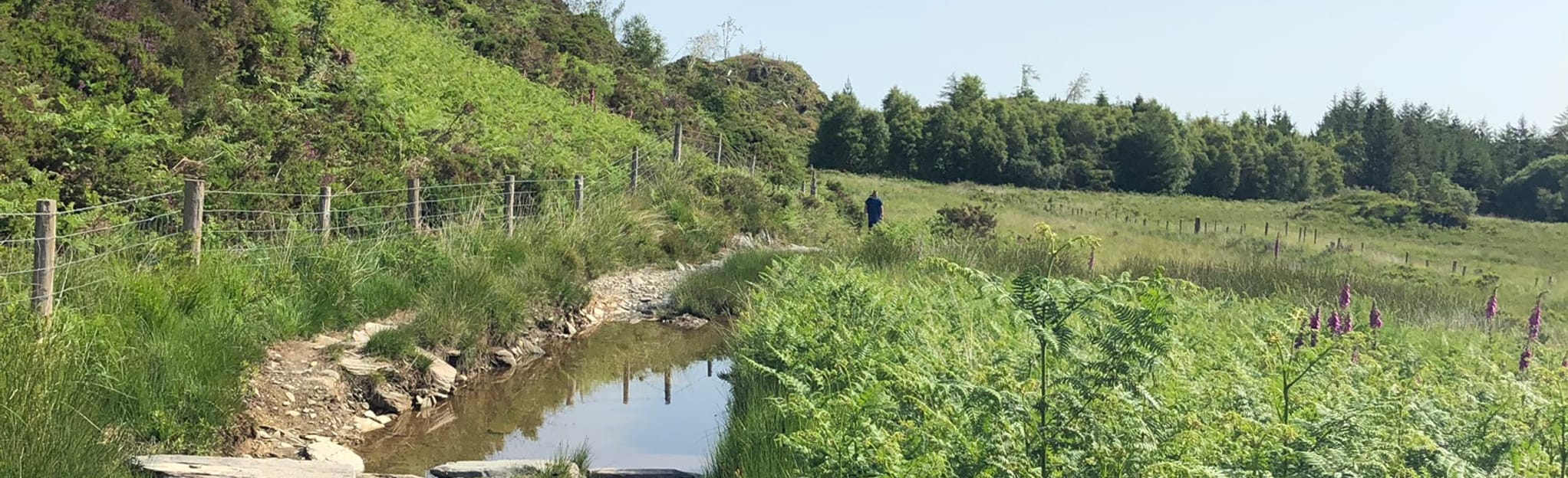 Rhaeadr Ewynnol (Swallow Falls) and Sarn Helen Circular, Conwy, Wales ...