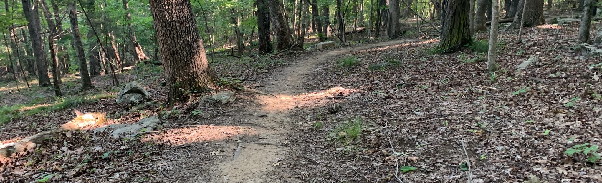 Toll Gate to Bankhead Trail and Buzzard's Roost Waterfall - Alabama ...