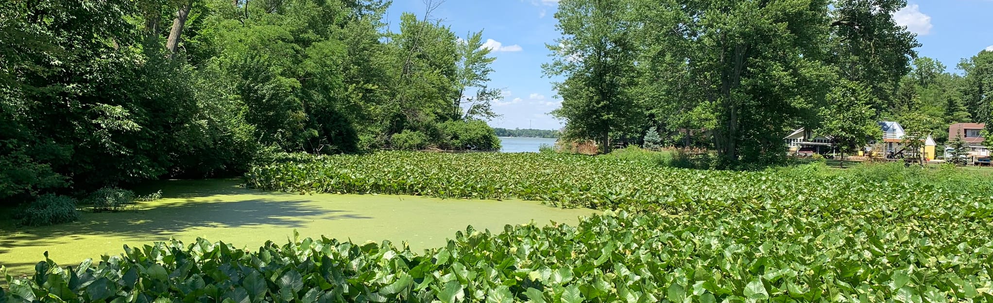 Pew Island Trail , Ohio - 70 Reviews, Map | AllTrails