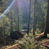 North Umpqua Trail: Swiftwater and Tioga Segment, Oregon - 36 Reviews ...