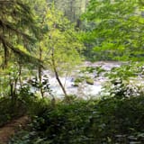 North Umpqua Trail: Swiftwater and Tioga Segment, Oregon - 36 Reviews ...