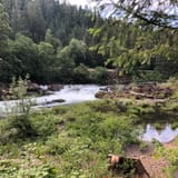 North Umpqua Trail: Swiftwater and Tioga Segment, Oregon - 36 Reviews ...