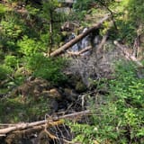 North Umpqua Trail: Swiftwater and Tioga Segment, Oregon - 36 Reviews ...