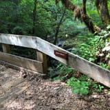 North Umpqua Trail: Swiftwater and Tioga Segment, Oregon - 36 Reviews ...