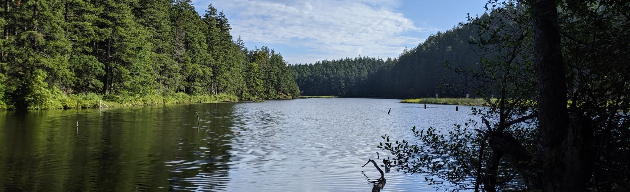 AllTrails | Little Cranberry Lake Inner Loop: 269 Reviews, Map - Washington