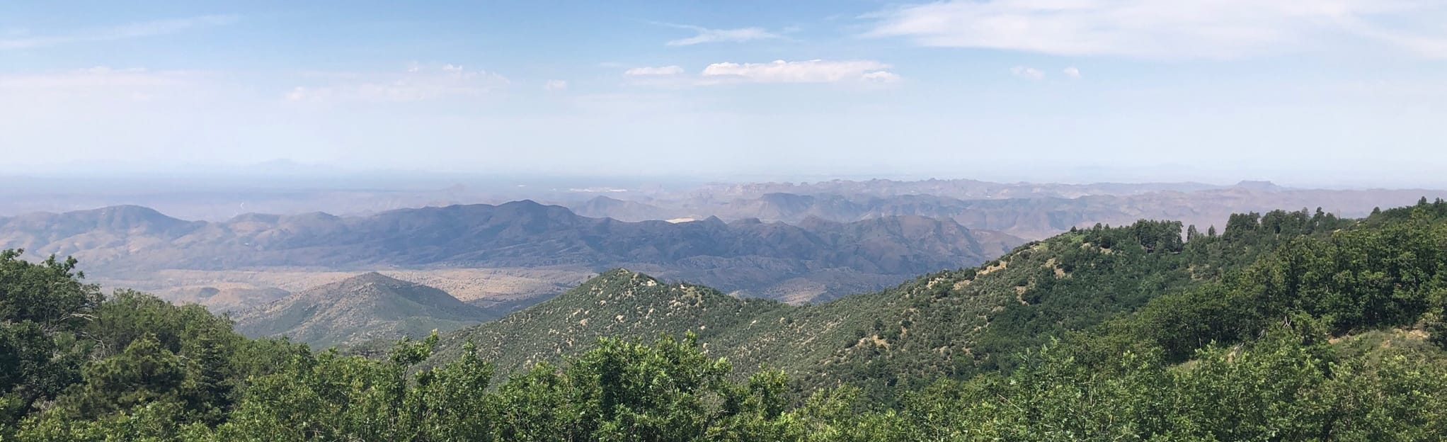 Pioneer Pass to Pinal Peak, Arizona - 34 Reviews, Map | AllTrails
