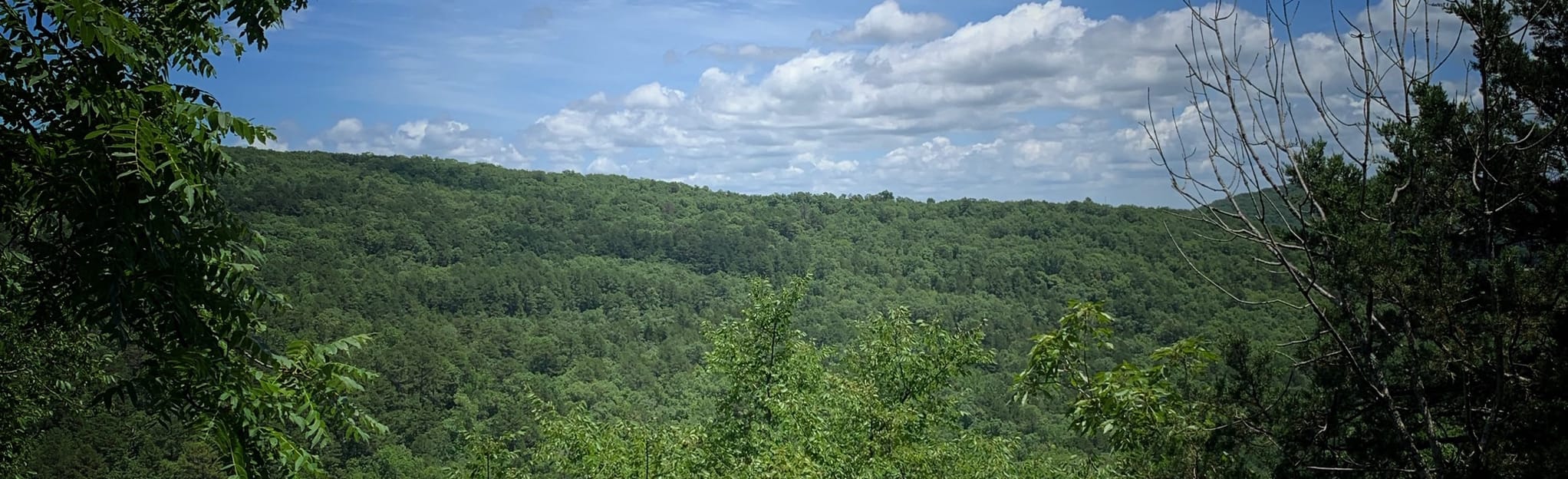 Mudlick Trail, Missouri - 125 Reviews, Map | AllTrails