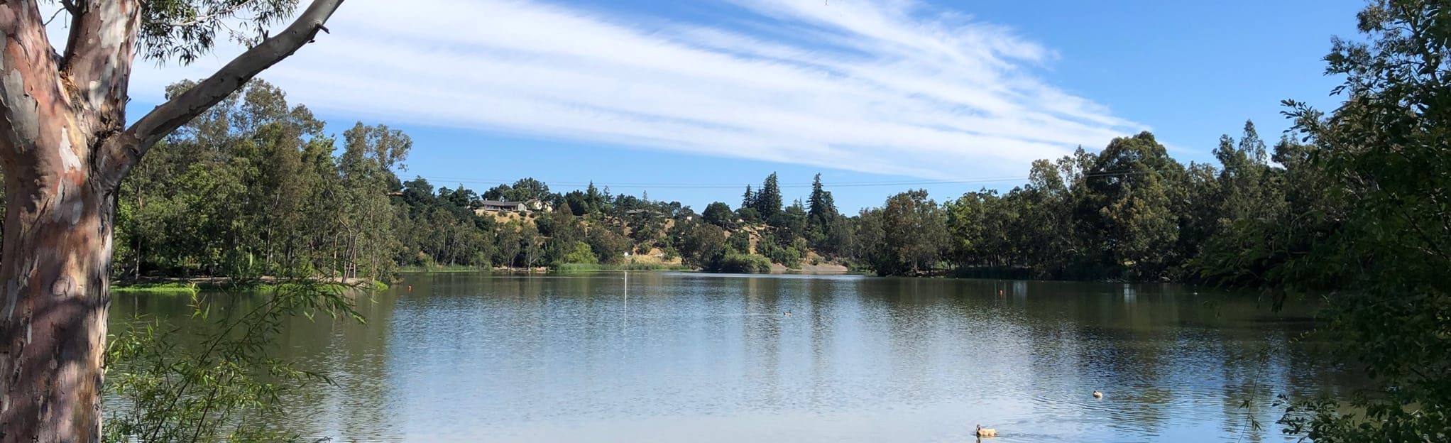 Los Gatos Creek Trail: Camden Ponds to Vasona Reservoir - California ...