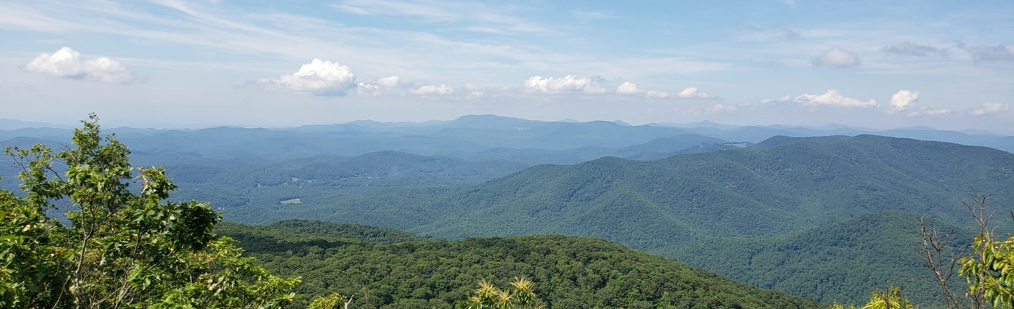 Art Loeb Trail: Davidson River Road to Blue Ridge Parkway: 56 Reviews ...