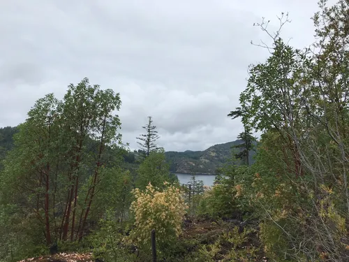 Best 10 Hikes and Trails in Inland Lake Provincial Park | AllTrails