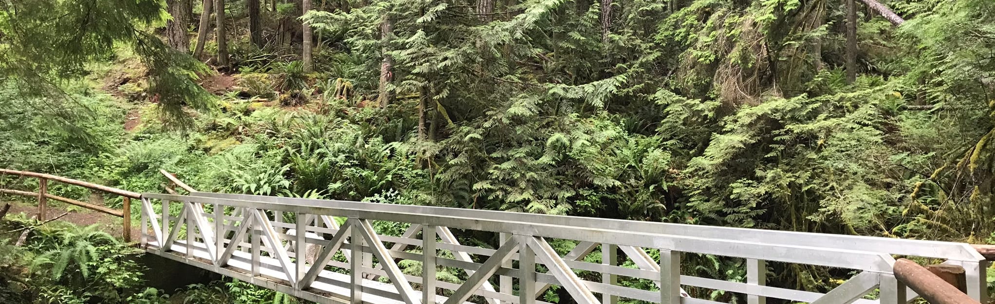 Haywire Trail, British Columbia, Canada - Map, Guide | AllTrails