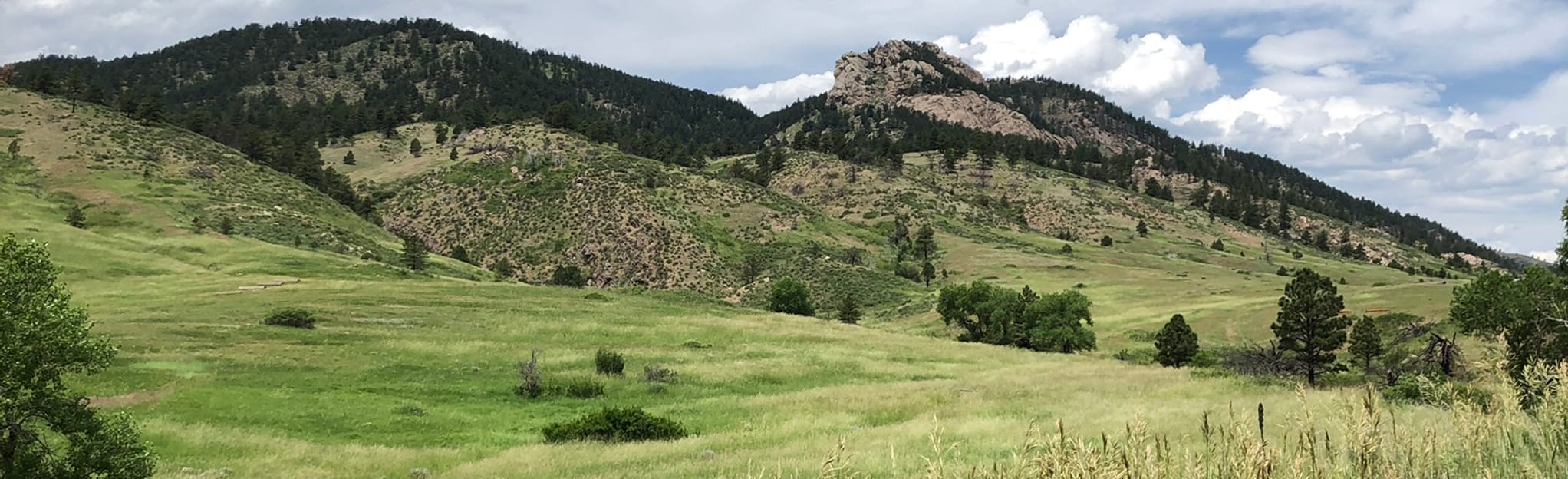 Arthur's Rock, Timber, Westridge, and South Valley Loop - Colorado ...