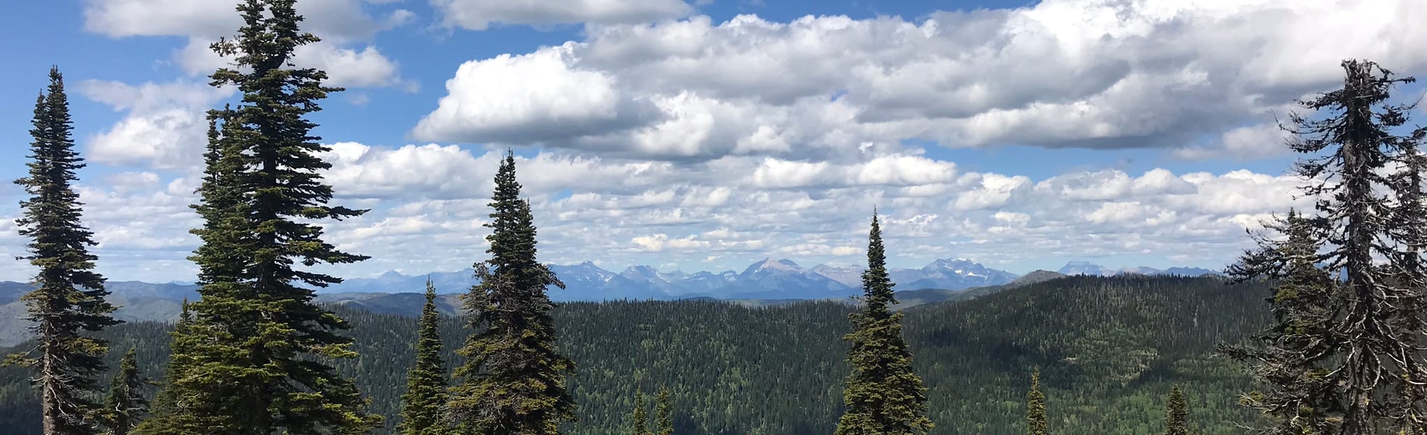 Big Mountain via Summit Trail: 38 Reviews, Map - Montana | AllTrails