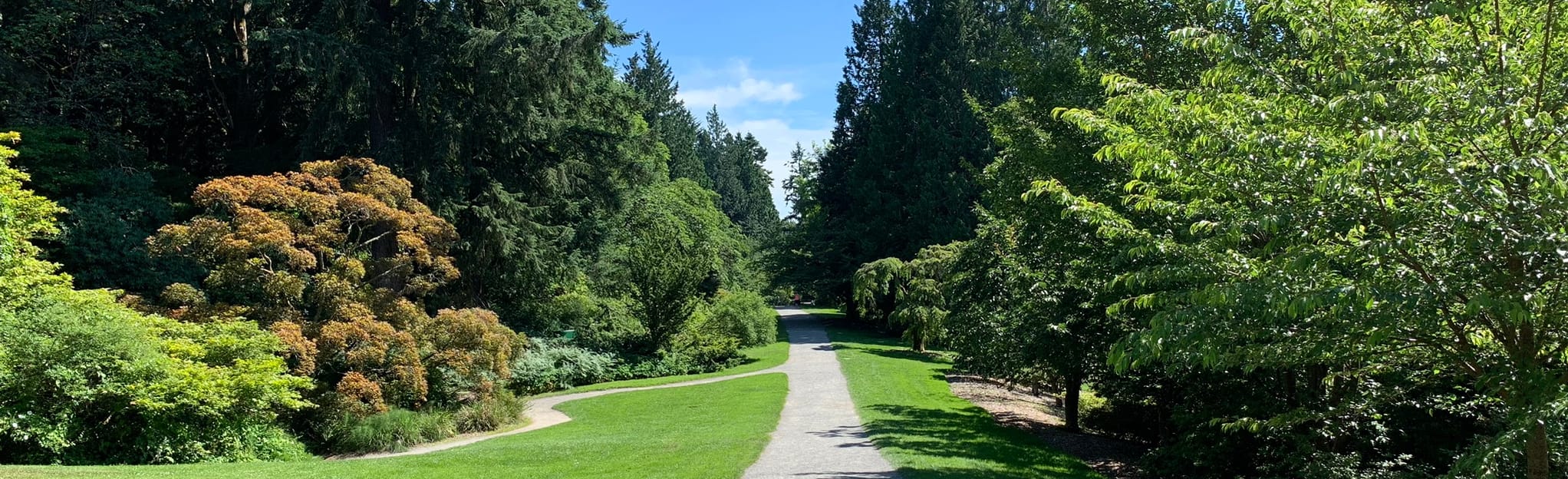 Washington Park Arboretum Loop, Washington - 755 Reviews, Map | AllTrails