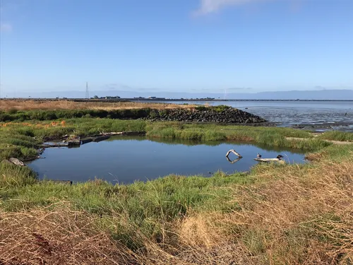 10 Best Trails and Hikes in Hayward | AllTrails